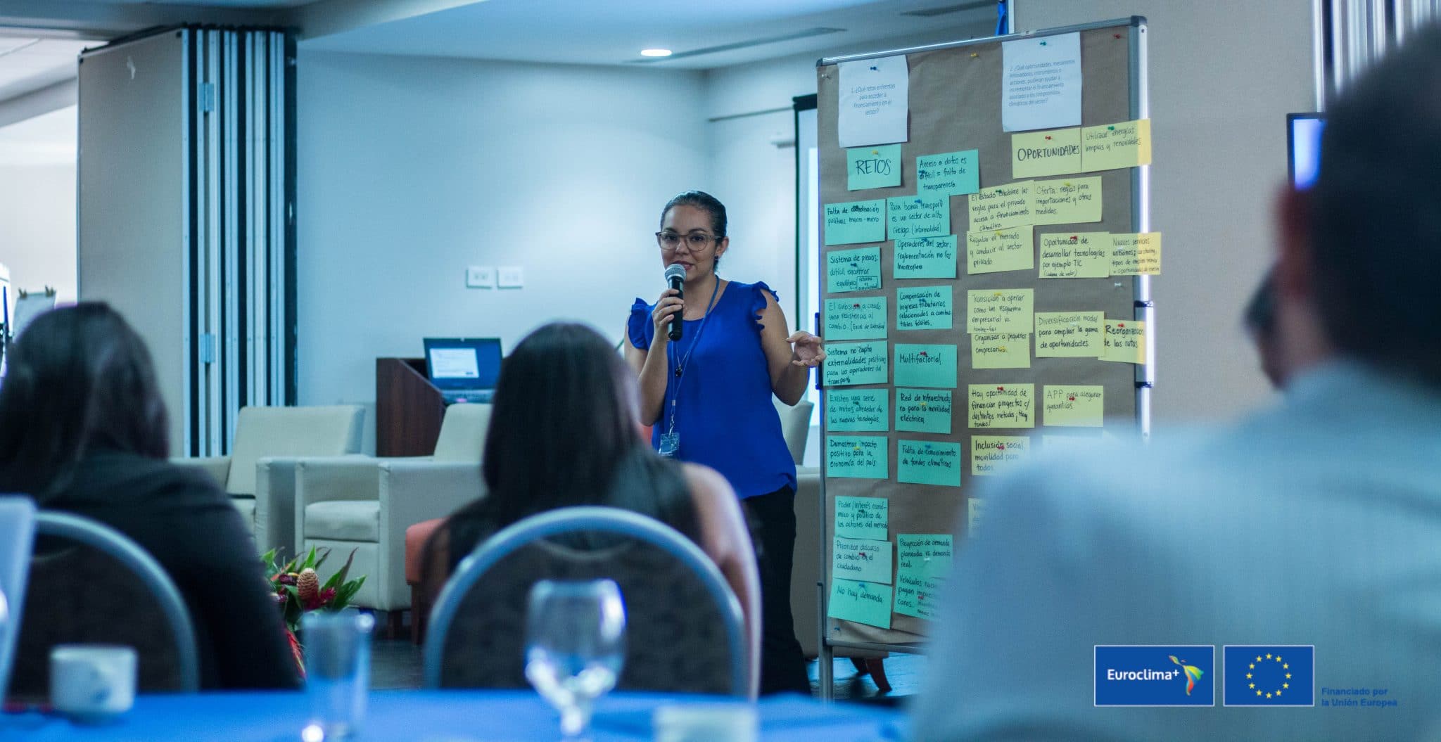 Climate Finance is Key to Accelerate Action - Changing Transport