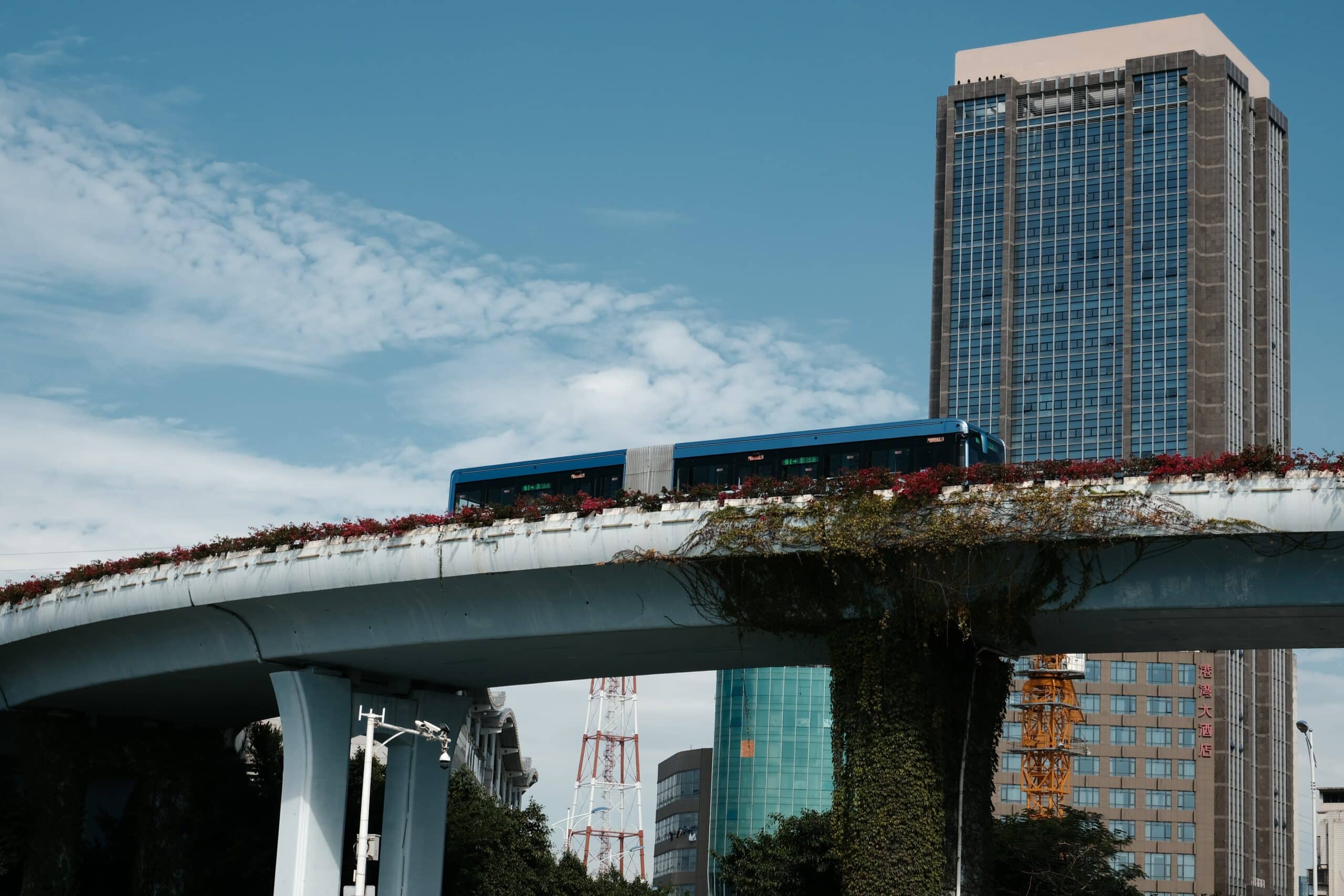 Empowering Change - Changing Transport